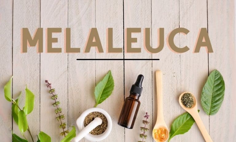 Are Melaleuca Products Any Good? Here's What You Need to Know - AskDads